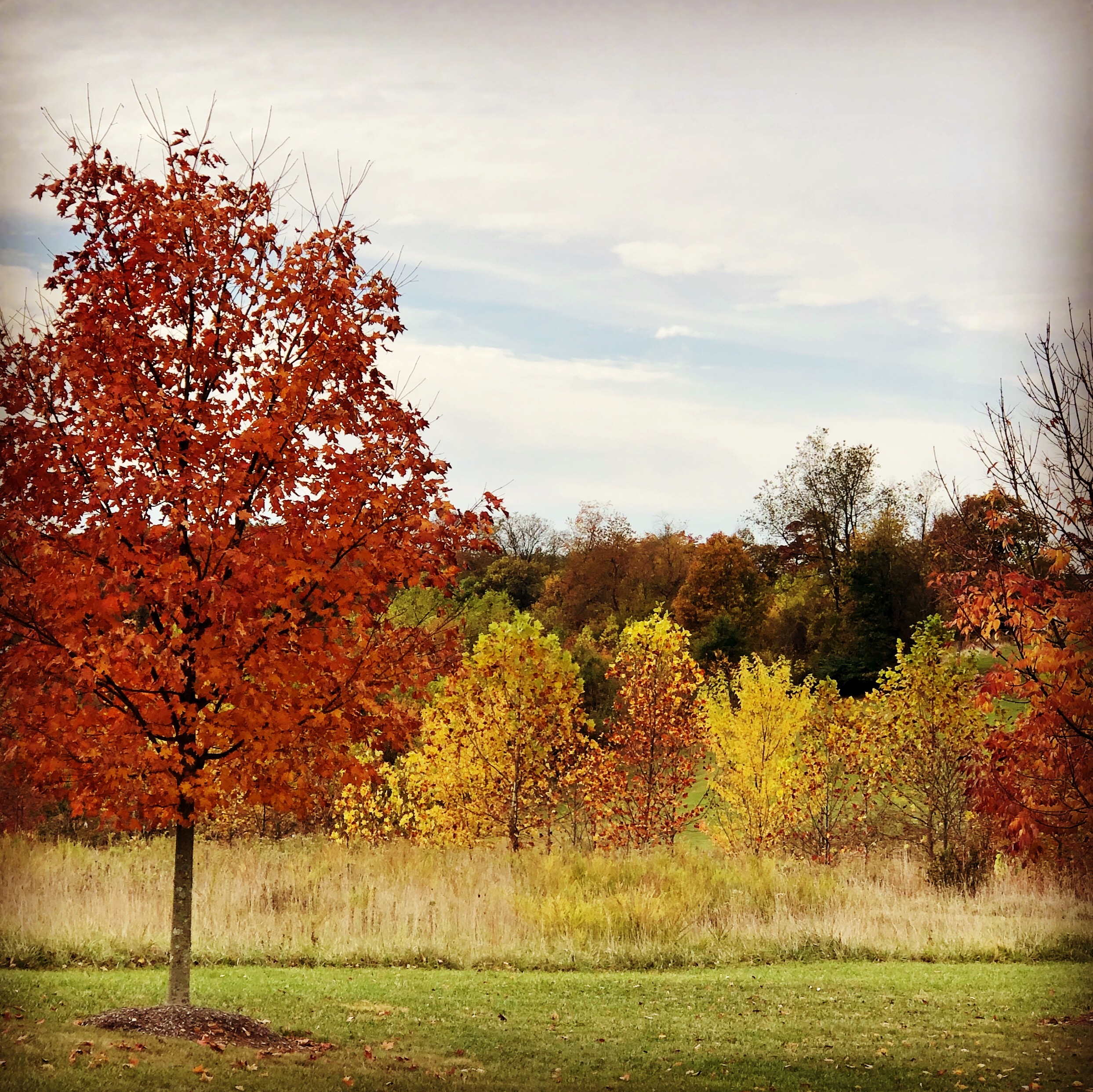 Blog – Curiosity Life Coaching